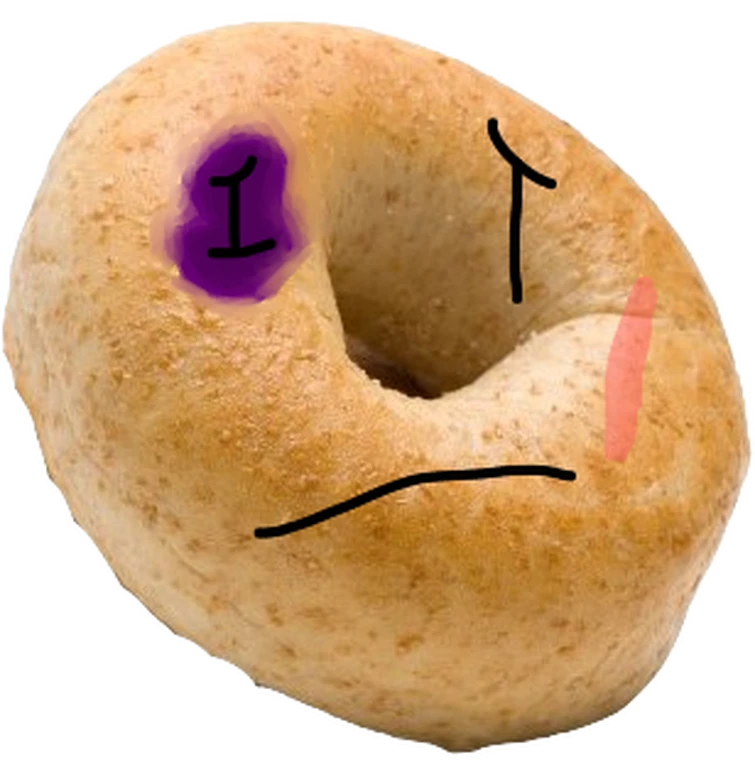 Discuss Everything About Bagelpedia Wiki | Fandom