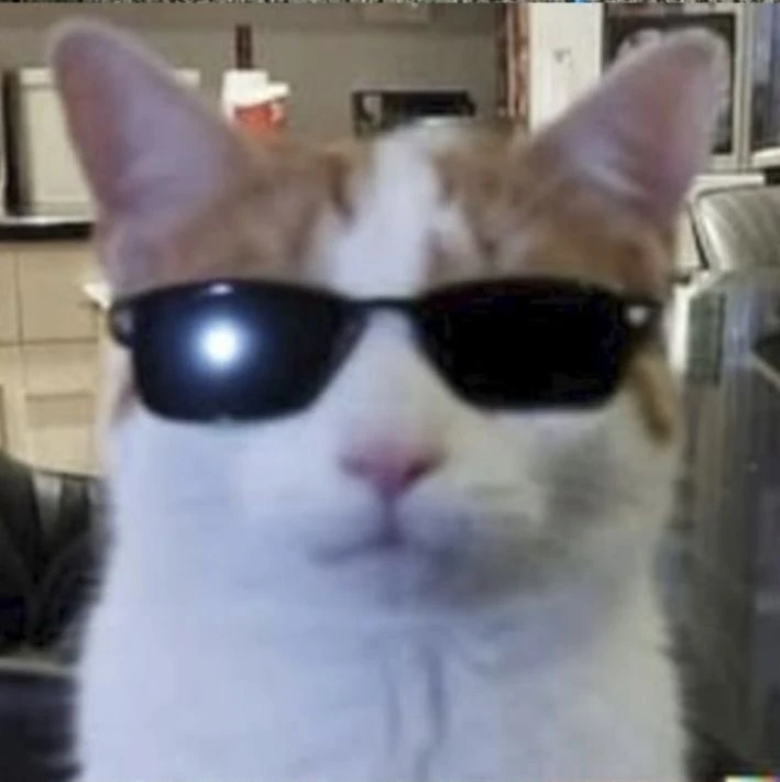 Thinking abt changing my pfp to a cat | Fandom