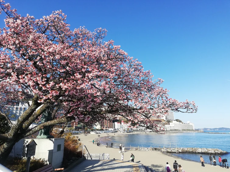 It is rumored that the model for Wonderful Precure's Animal Town is Ito ...