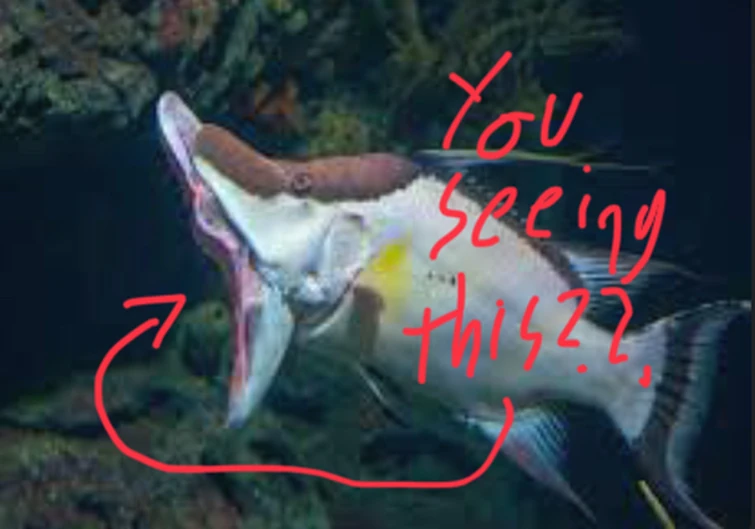 I hate this fish sm | Fandom