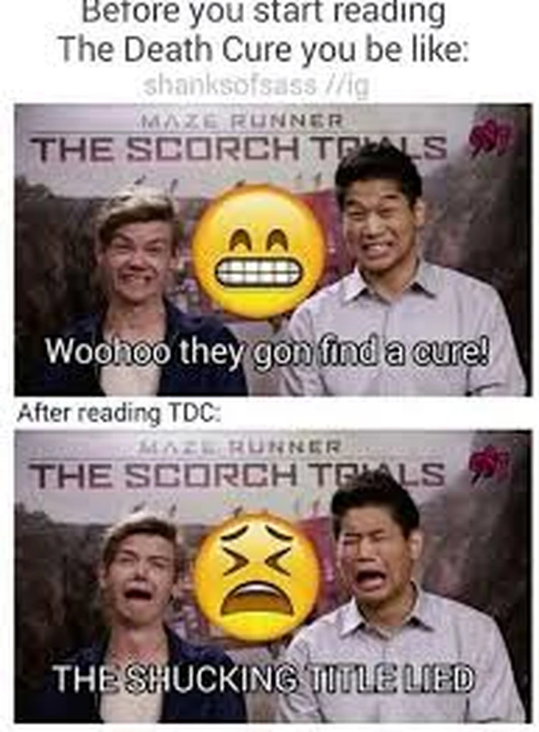 Maze runner memes | Fandom