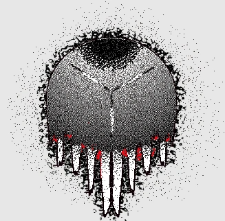 Litany phase 2 | Fandom