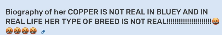 Discuss Everything About Bluey Fanon Wiki | Fandom