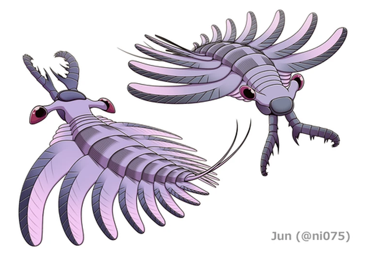 Daily prehistoric animals | Fandom