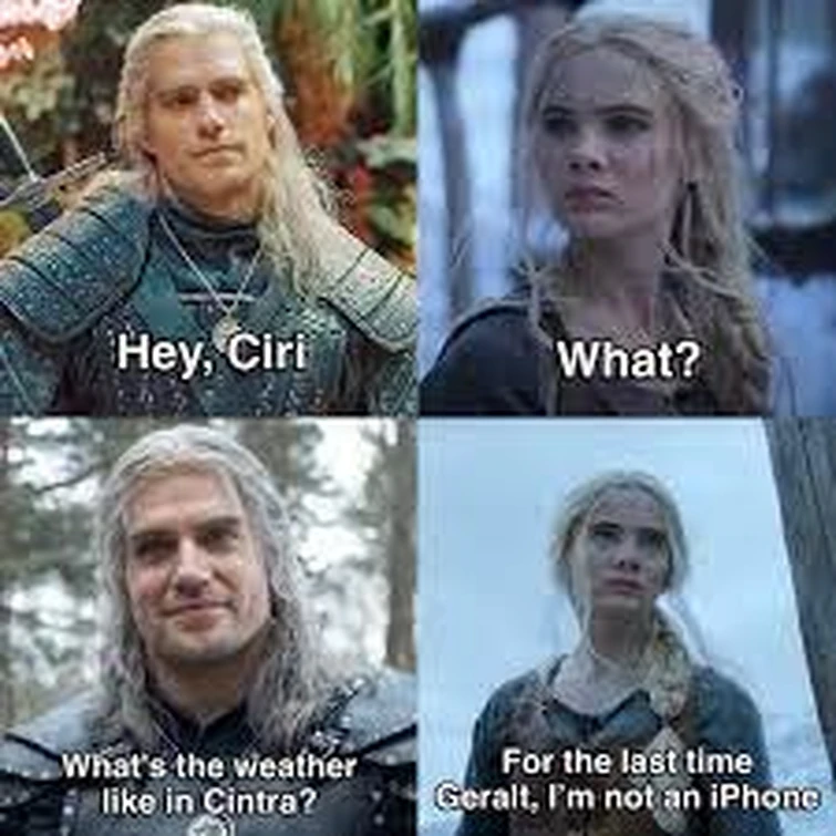 witcher meme | Fandom