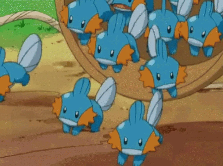 Mudkip | Fandom