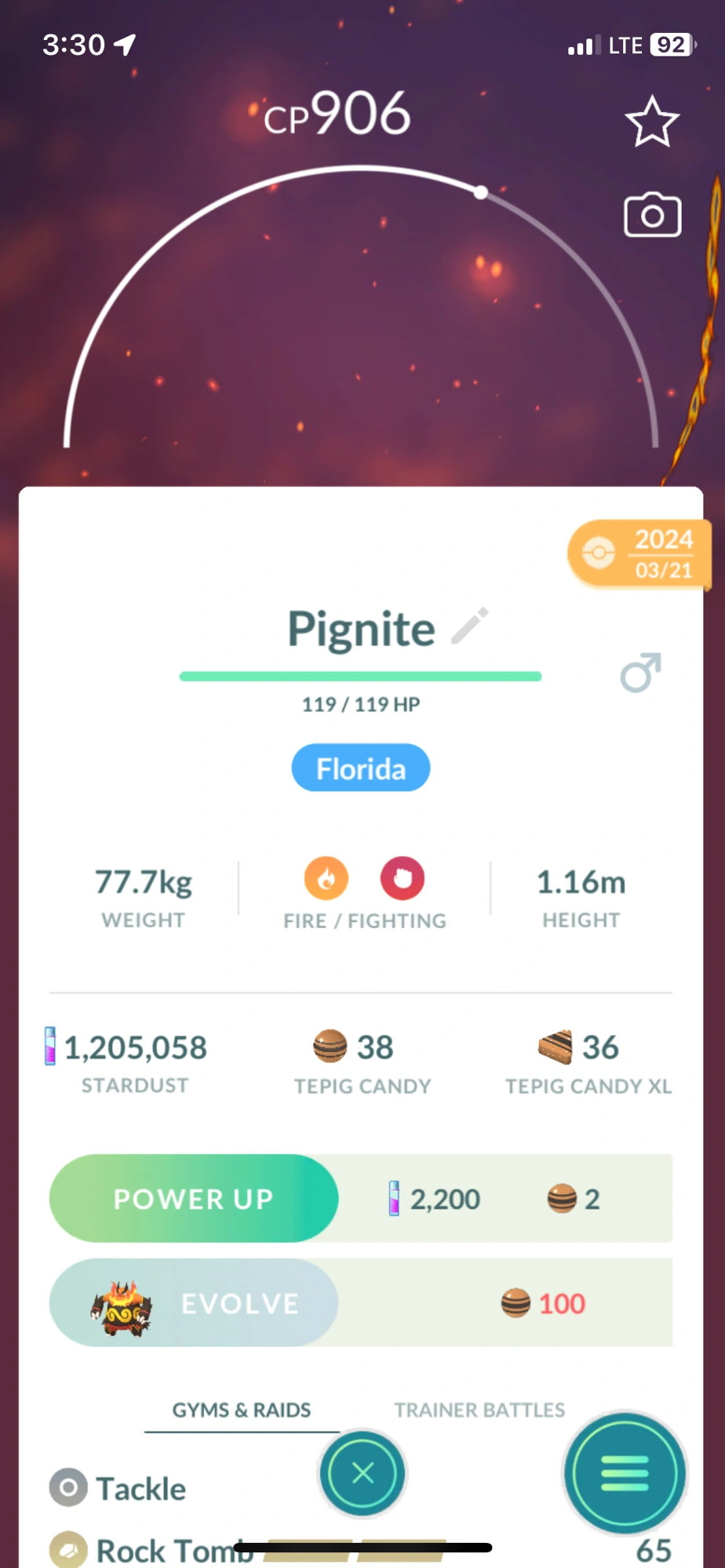 Where Pignite? | Fandom