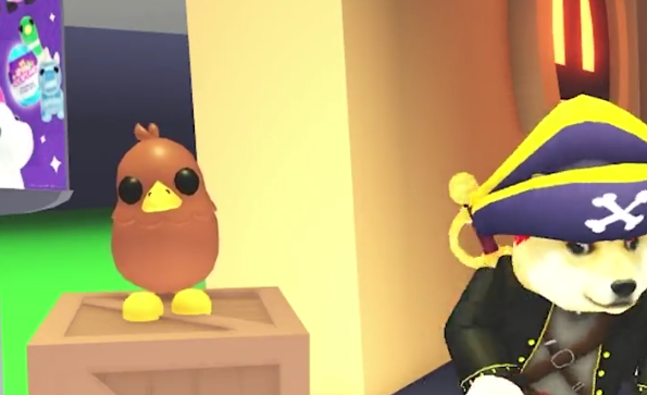 Toys and Kiwis | Adopt Me! Weekly News | Fandom