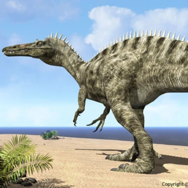 Discuss Everything About Dinopedia | Fandom