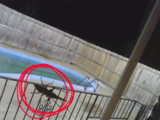 The little guy CW: BUG | Fandom