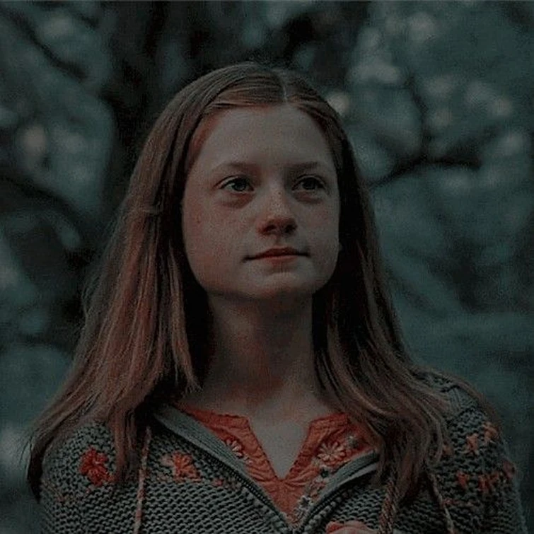 Aesthetic hp pfps for my fellow potterheads :) | Fandom