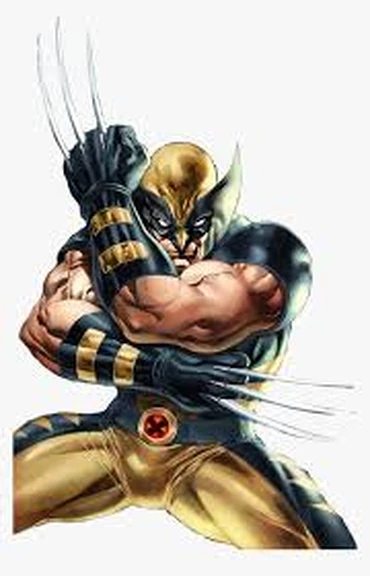 Ryu Vs Wolverine (Street Fighter Vs Marvel) | Fandom