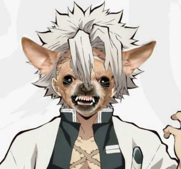 sanemi memes cause hes my favorite. | Fandom