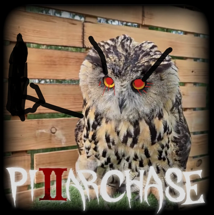 Check the PC2 game icon... I left a little surprise. | Fandom