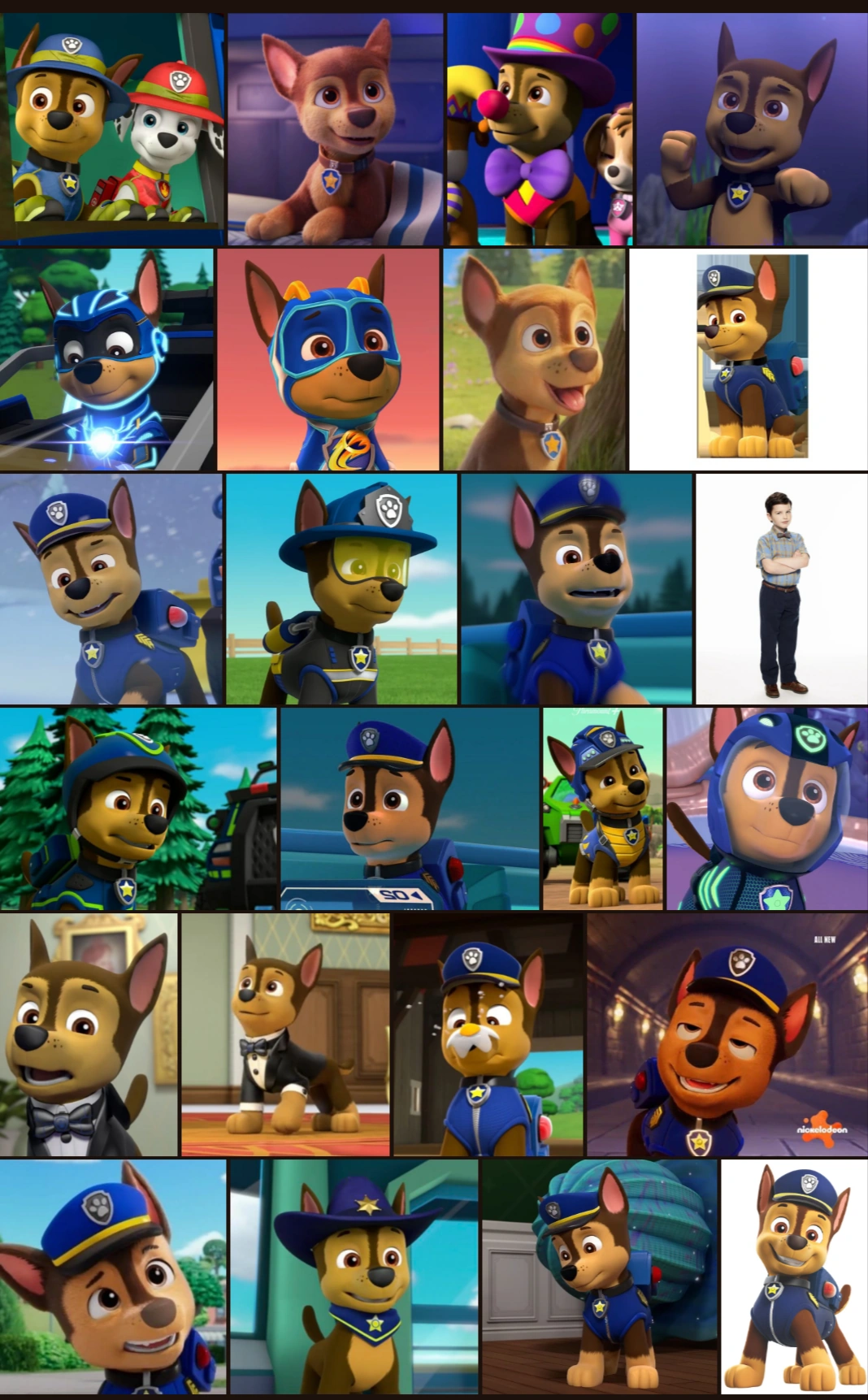 I like chase | Fandom