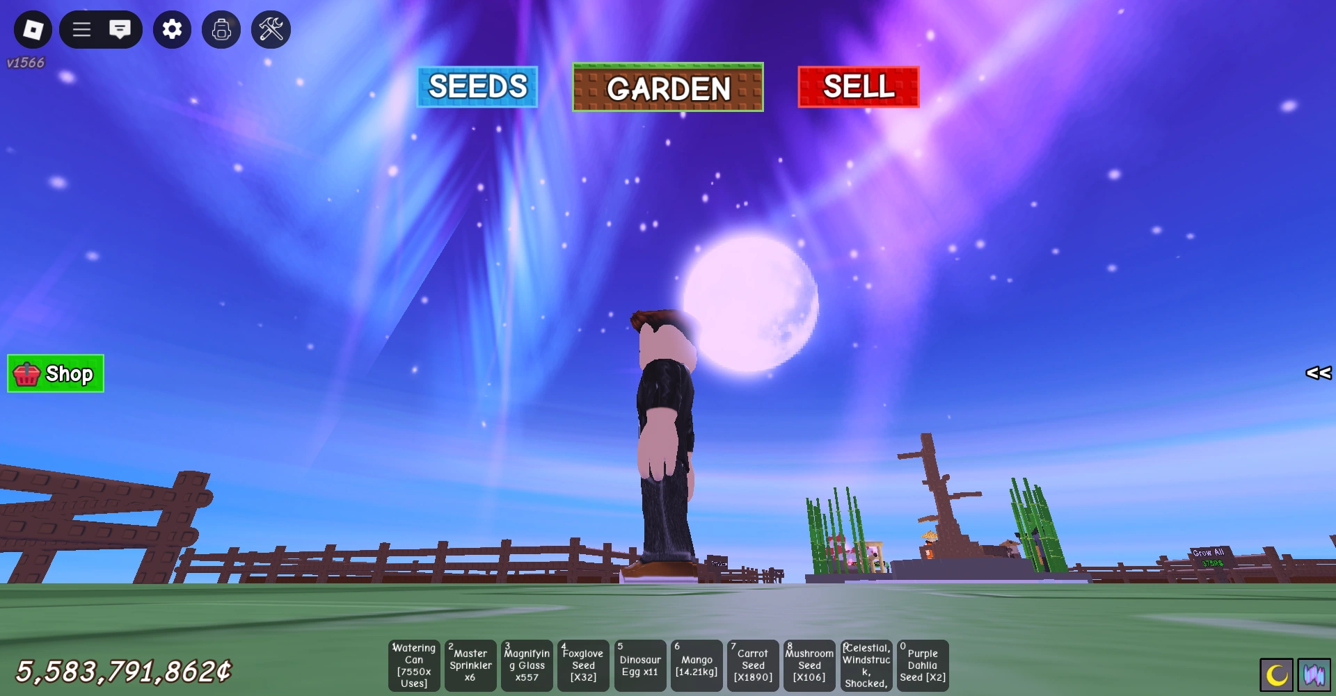 Arora at night looks nice | Fandom