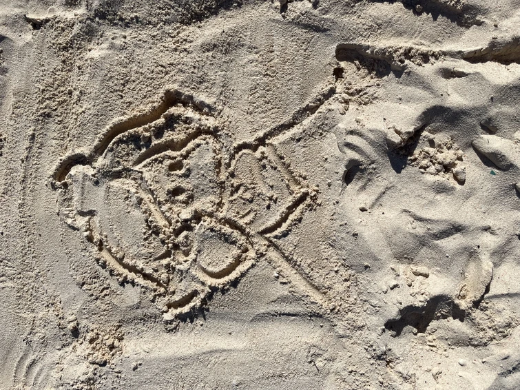 mindful miner in the sand | Fandom