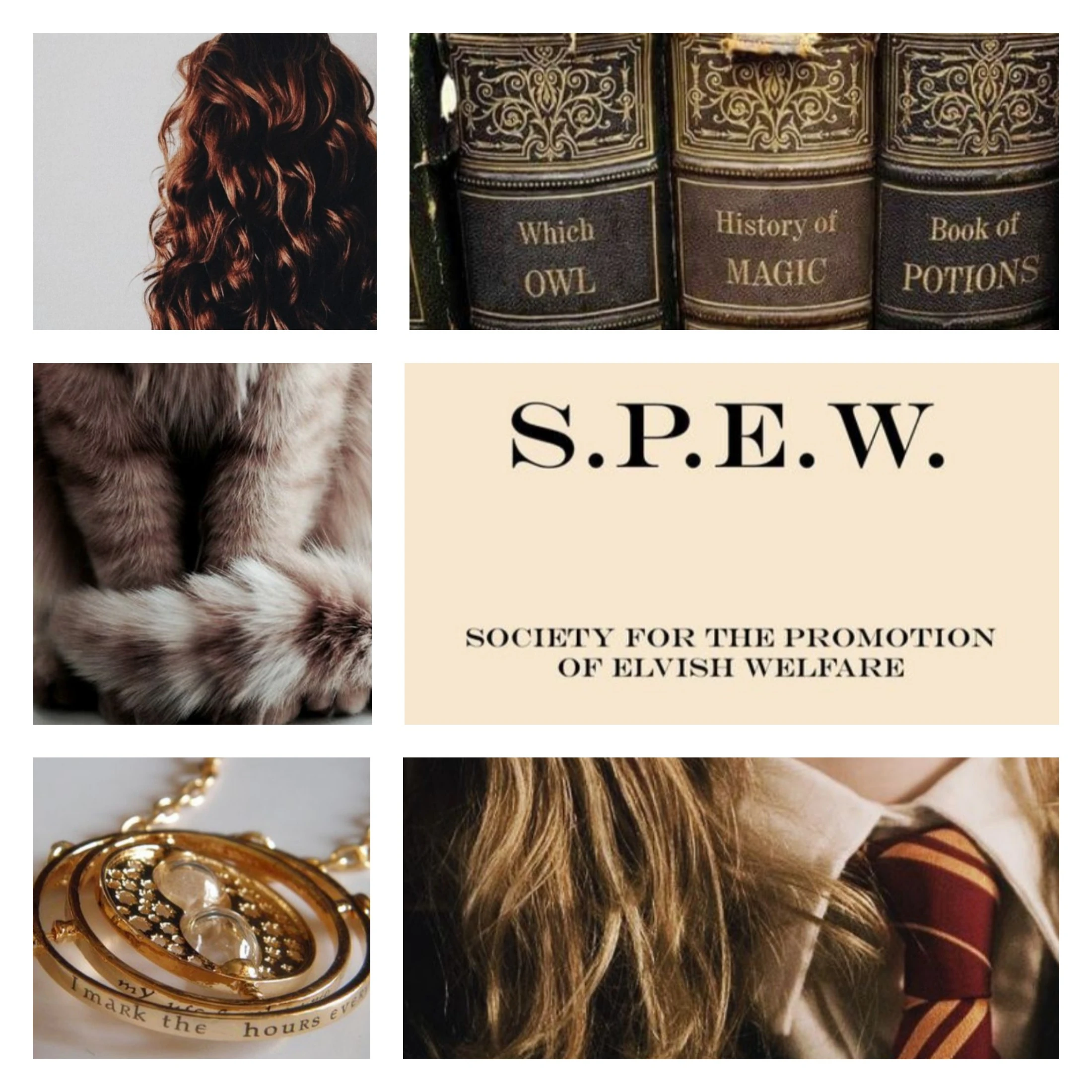 𝙷𝚎𝚛𝚖𝚒𝚘𝚗𝚎 𝙶𝚛𝚊𝚗𝚐𝚎𝚛 | Fandom