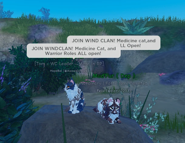 Starting Windclan NOW | Fandom