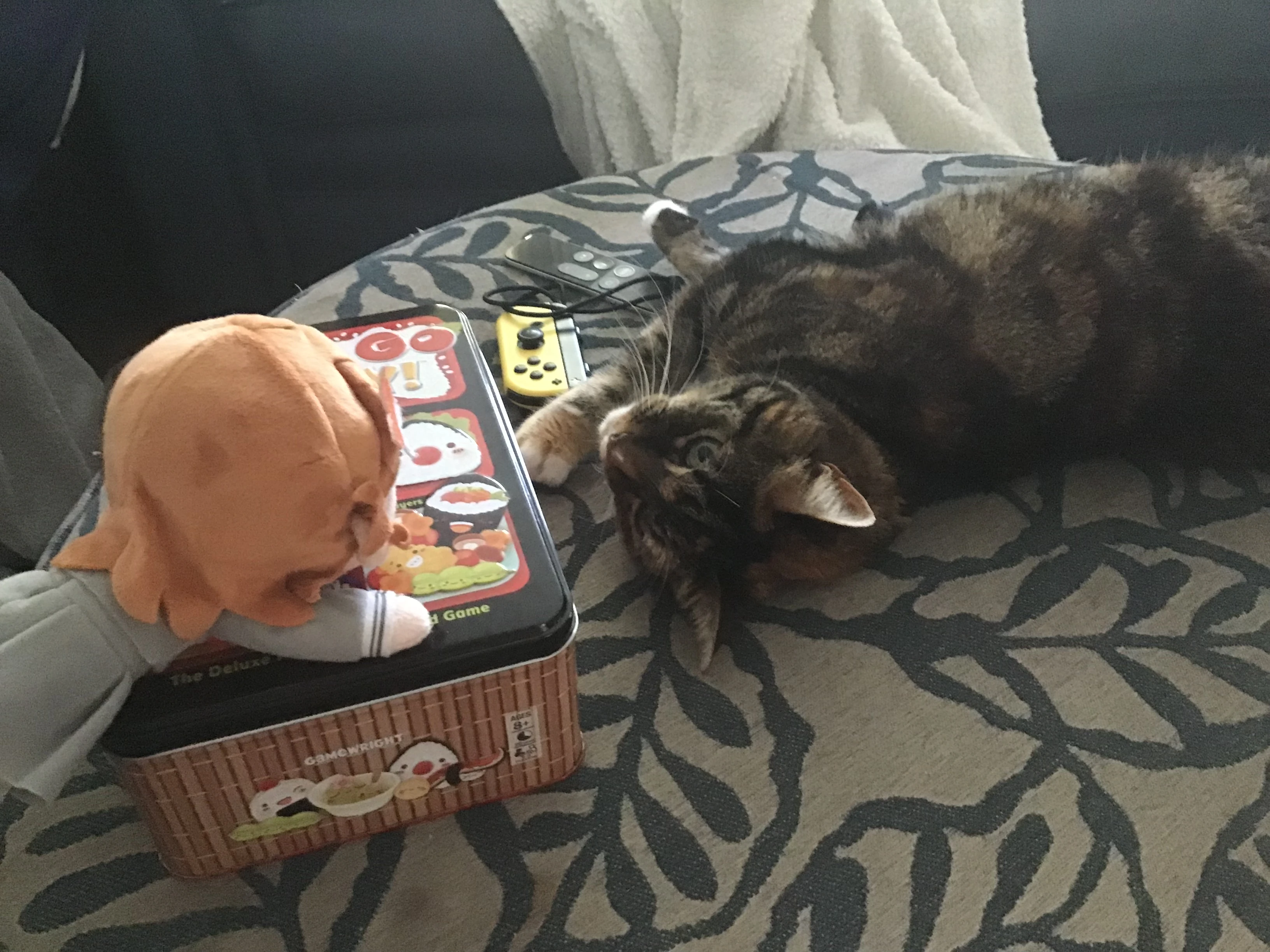 Minoneso meets my cat! | Fandom