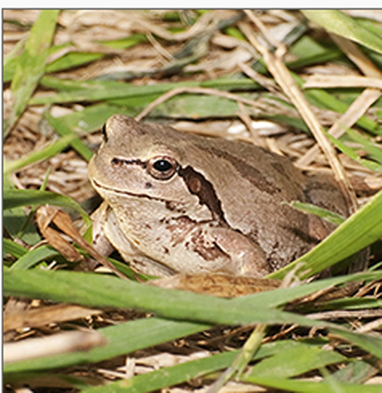 WHATS THIS WRONG ANSWER ONLY | Fandom