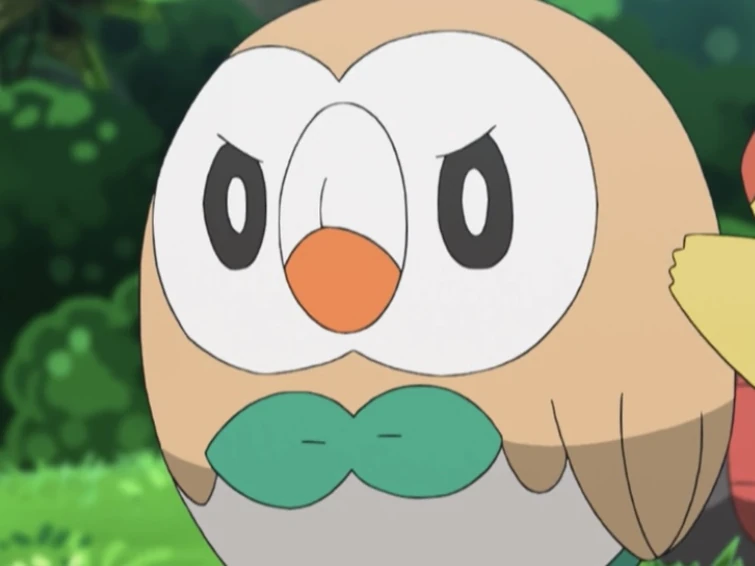 Have you seen the lastsest tiktok post on the official Thomas and ...