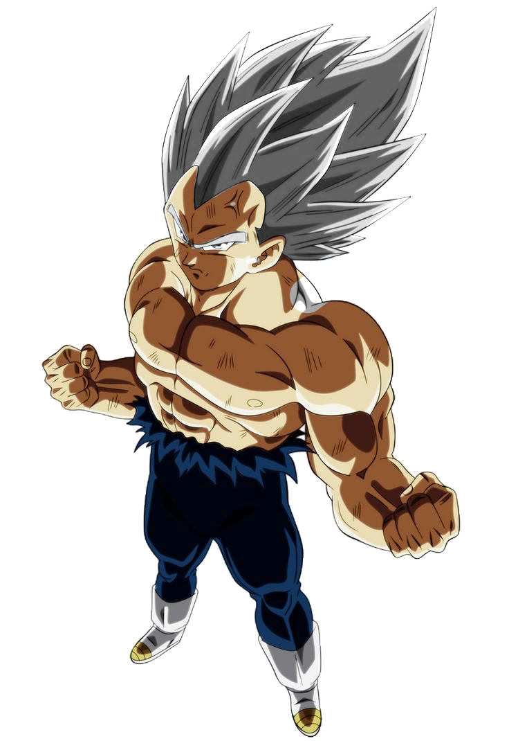 Mastered Ultra Instinct Vegeta | Fandom