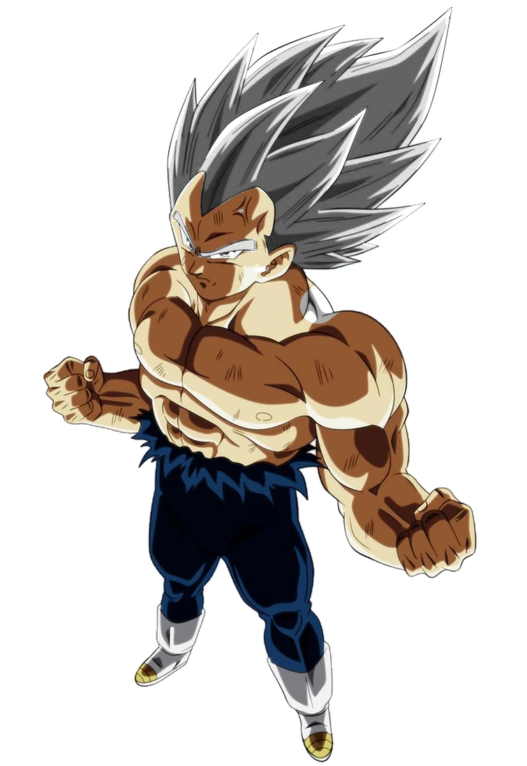 Mastered Ultra Instinct Vegeta | Fandom