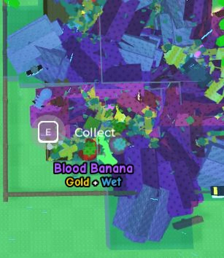 DID Moon Melons get a nerf? | Fandom