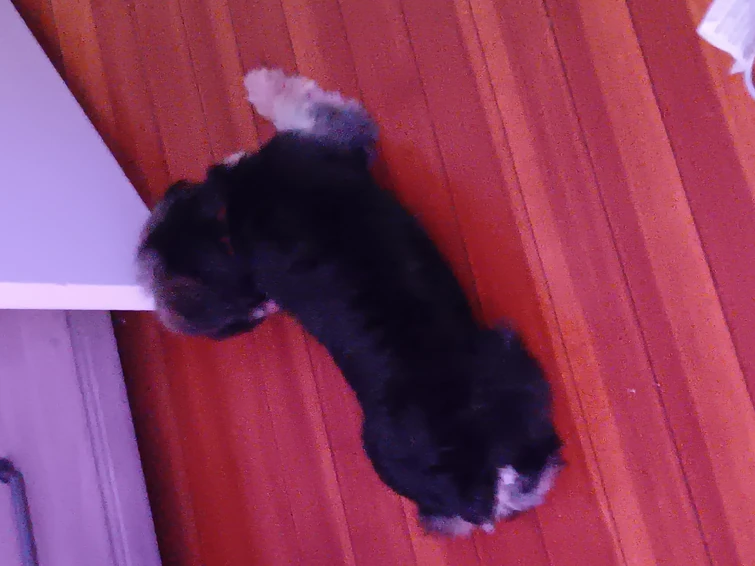 he eepy😴 | Fandom