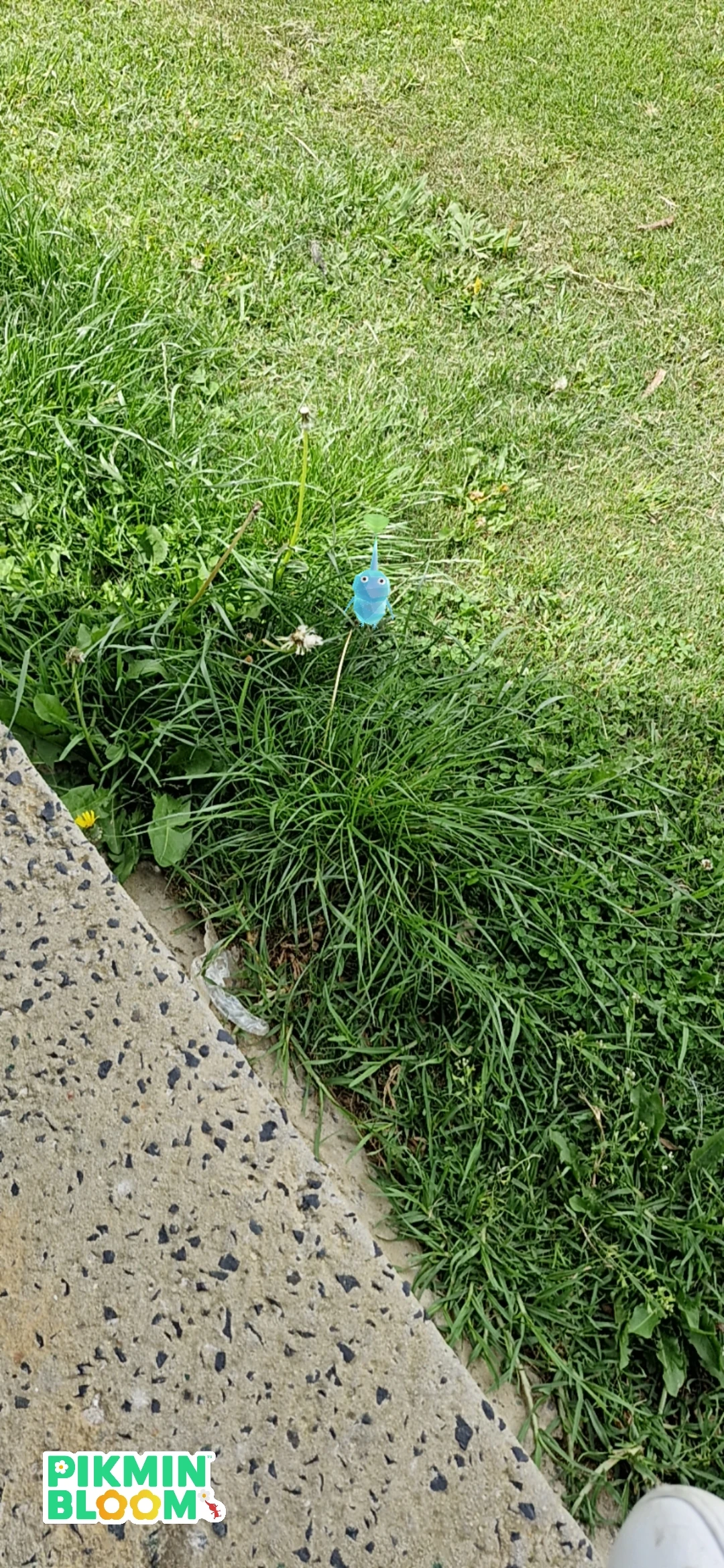 ICE PIKMIN IN PIKMIN BLOOM | Fandom