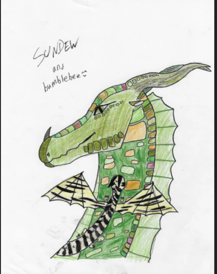 sundew and bumblebee (oldish but good) art (upvotes appreciated!) | Fandom