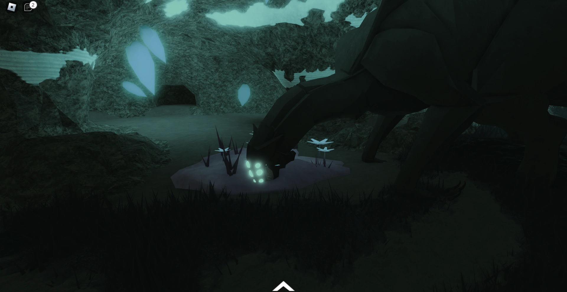 Kora is vegan?! (real) | Fandom