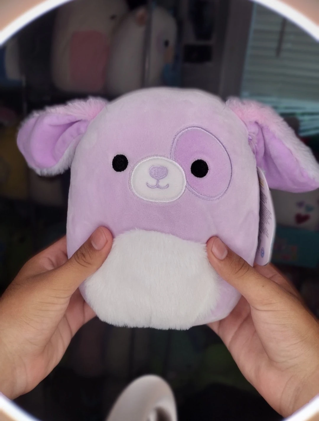 adding a pic to squish | Fandom