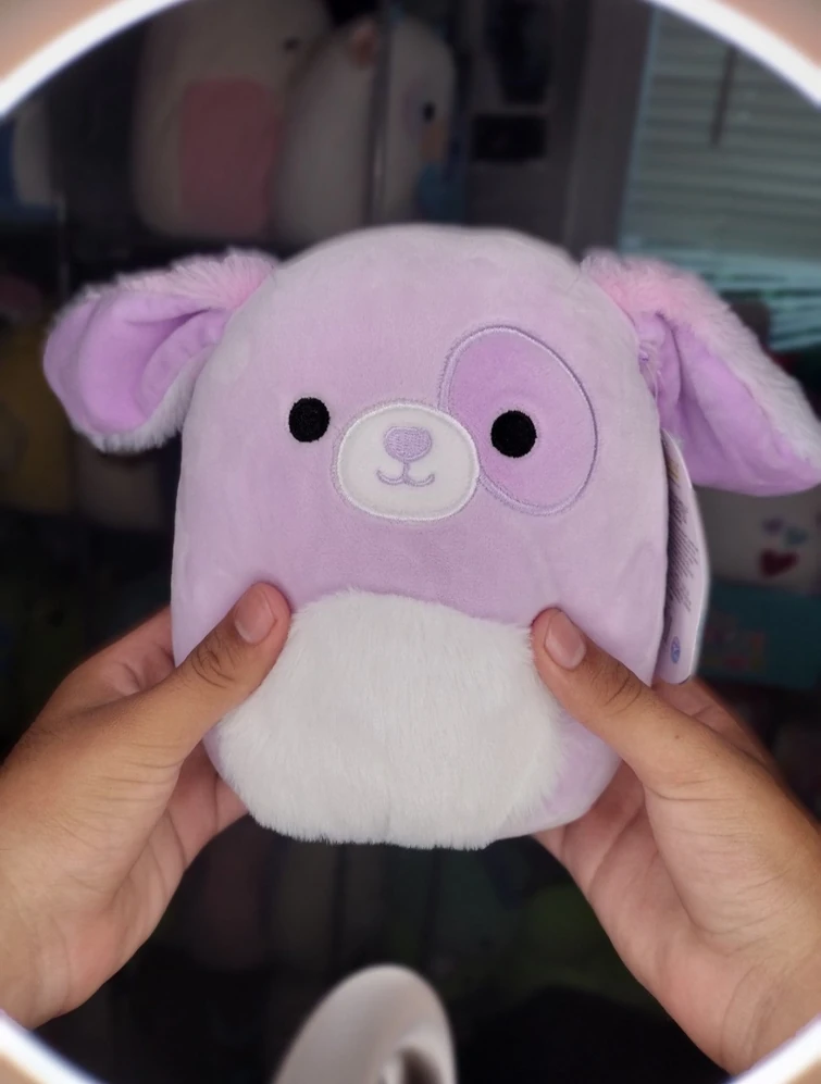 adding a pic to squish | Fandom