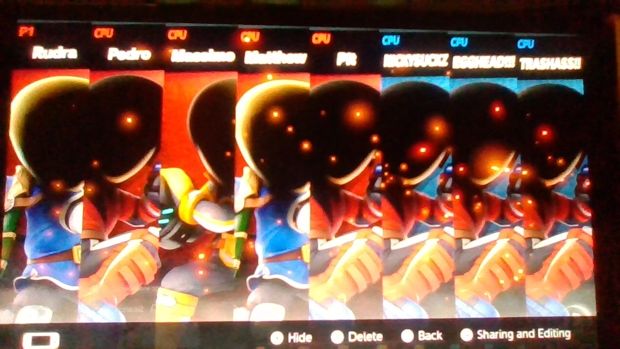 Pit, Matt (Wii U), Massimo, Pedro, and I destroyed 3 of the worst ...