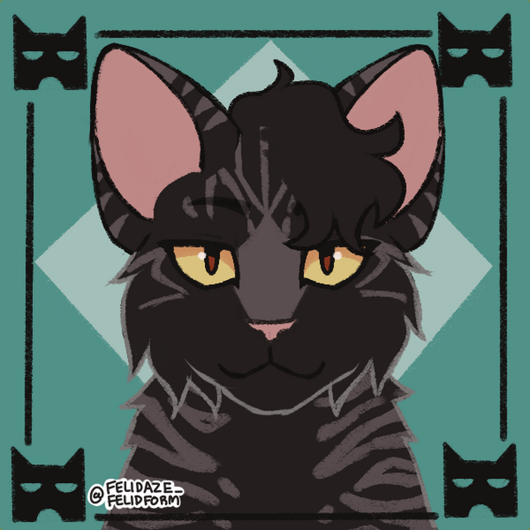 Nightheart and Sunbeam need kits! | Fandom