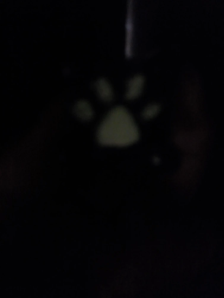 Plagg claws out! | Fandom