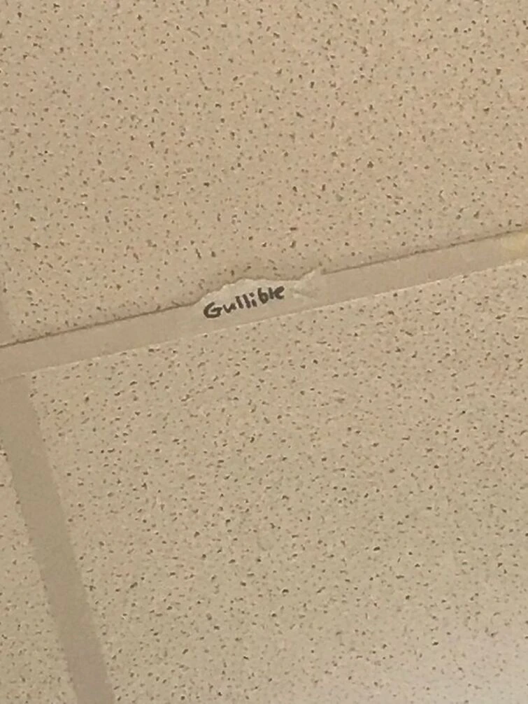 LOOK IT SAY GULLIBLE ON THE CEILING | Fandom