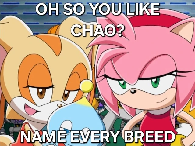 Sonic Captions 6 | Fandom