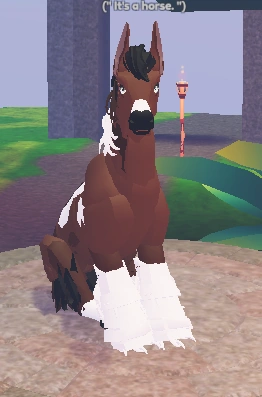 ` My first ever horse oc ! ` | Fandom