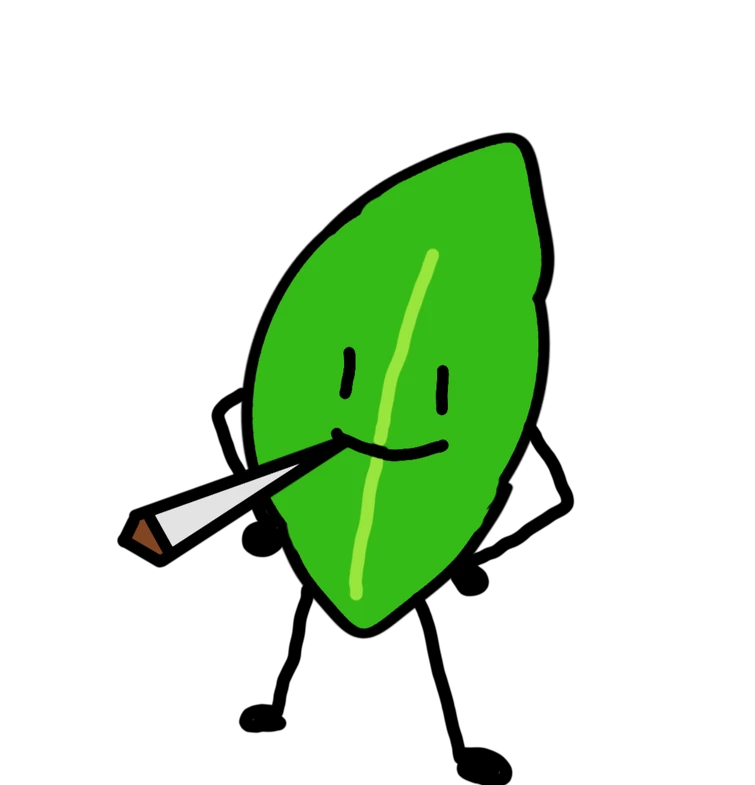 give me bfdi/bfdia/bfb/tpot images to add to my collection | Fandom