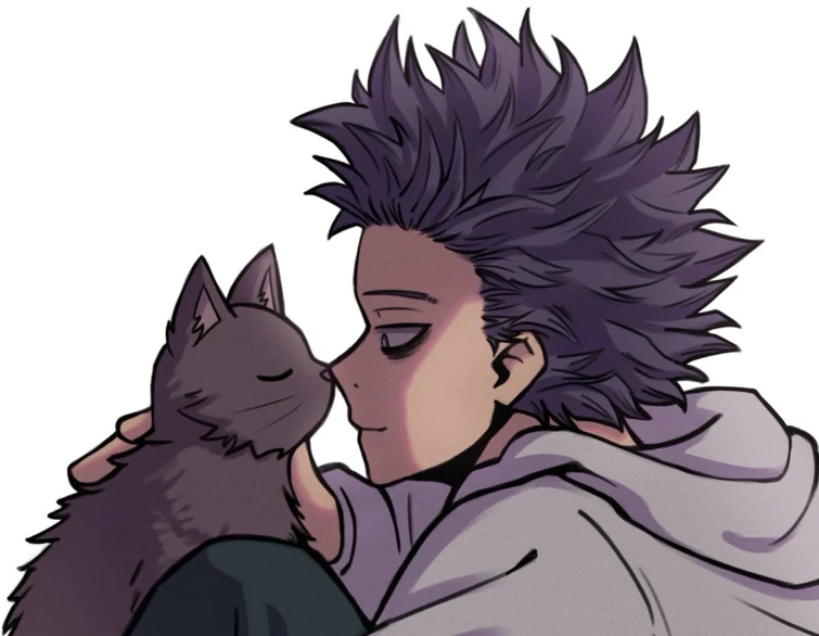 Discuss Everything About My Hero Academia Wiki | Fandom