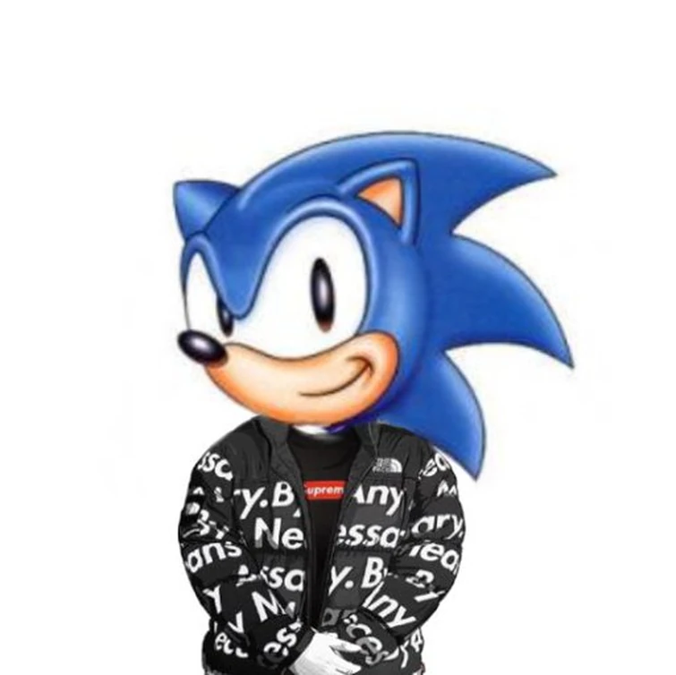 I wanna see some more Sonic memes please | Fandom