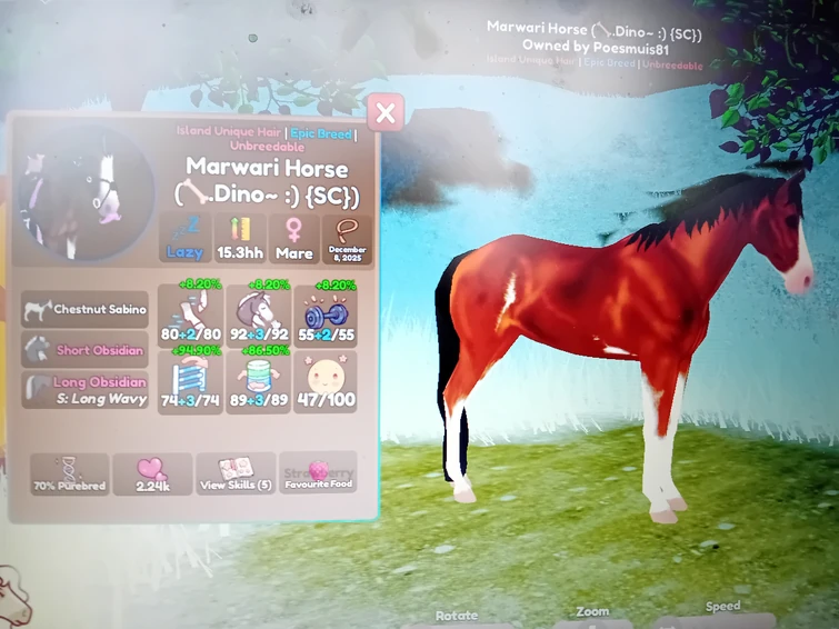 Art Comms (10-30 Robux ) And drawing anything explanation in comms :3 ...