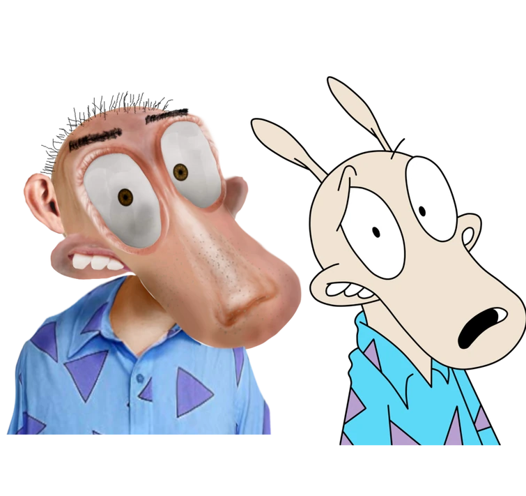 the real rocko | Fandom