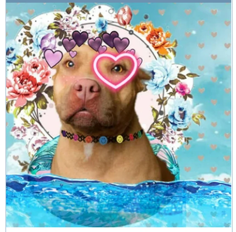 So many old pfps | Fandom