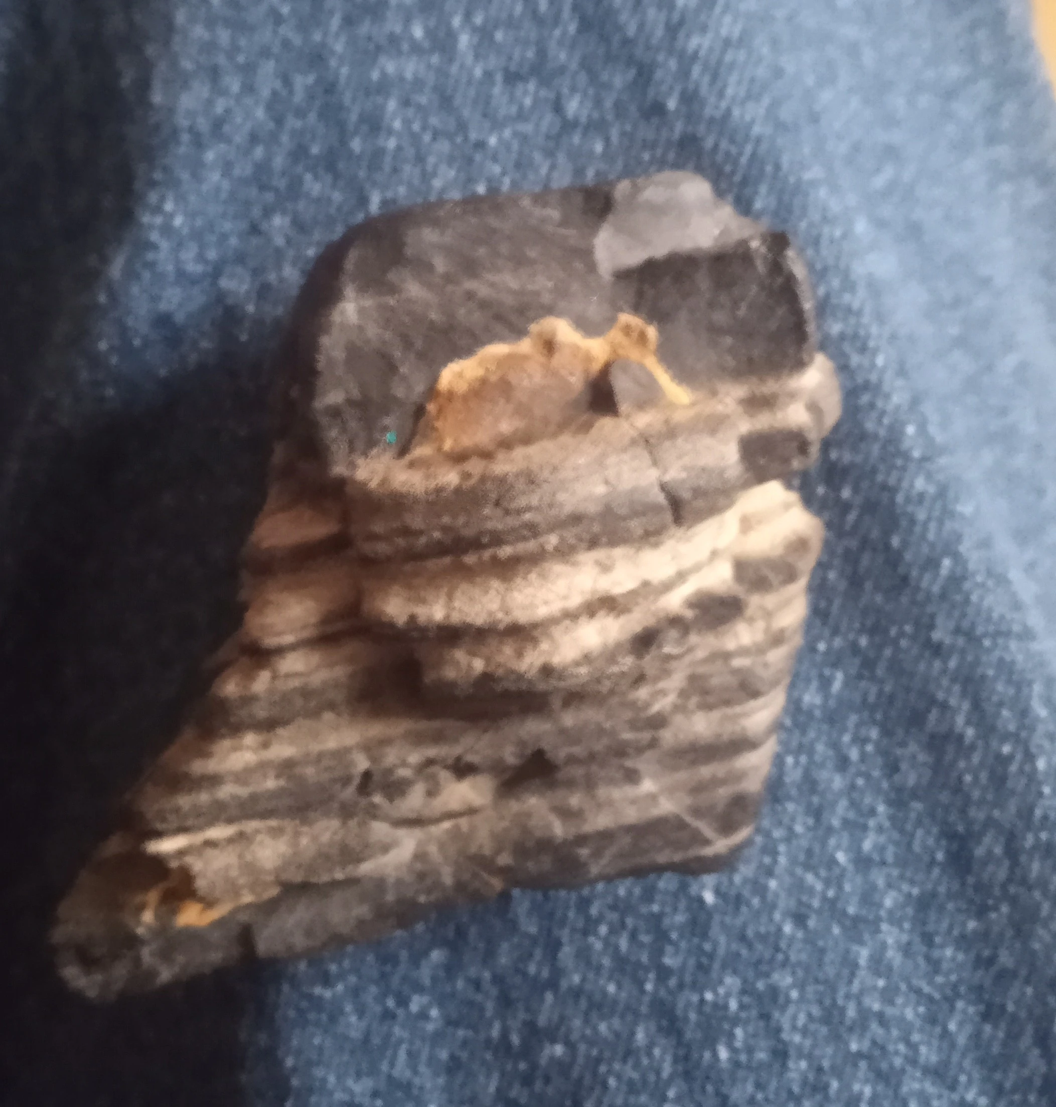 Random rock I've had for several years that I like | Fandom