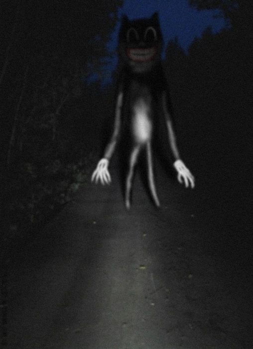 Cartoon Cat | Fandom