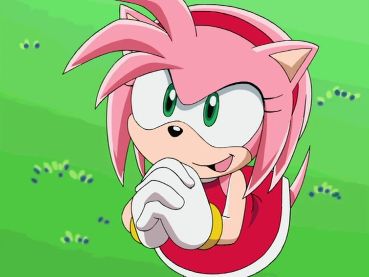 Amy Rose is the cutest thing i've saw in my life! | Fandom